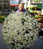 Bell Nursery's Gary Mangum Provides Insight on Deal With Central Garden ...