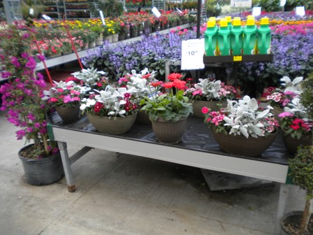 Slideshow: Grow Your Own Program & More - Greenhouse Grower