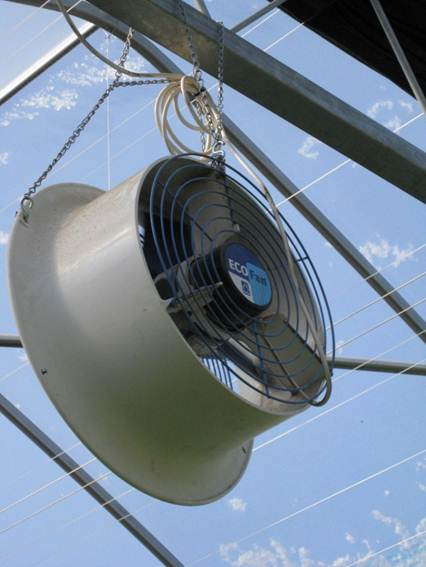 Grow Better Plants With Horizontal Airflow Fans - Greenhouse Grower