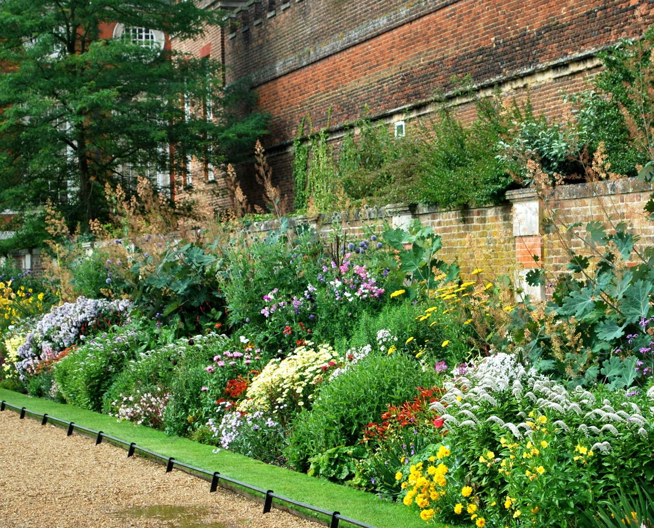 Popular Perennials At Retail - Greenhouse Grower