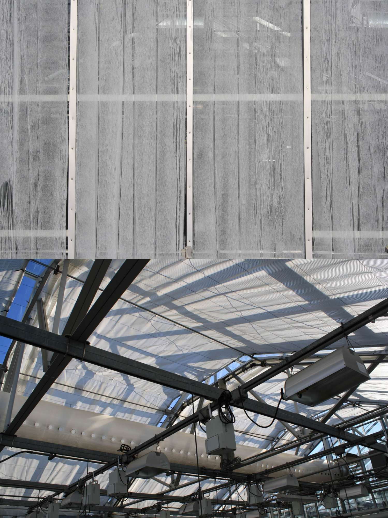 Keeping Cool With Greenhouse Shading - Greenhouse Grower