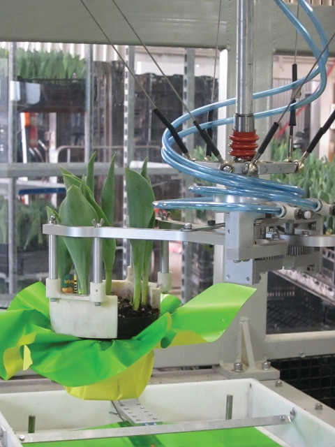 Future Greenhouse Automation Will Assist The Grower's Expertise ...