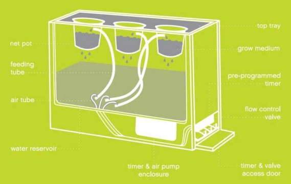 Modern Sprout Planters Create Successful Windowsill Gardens ...
