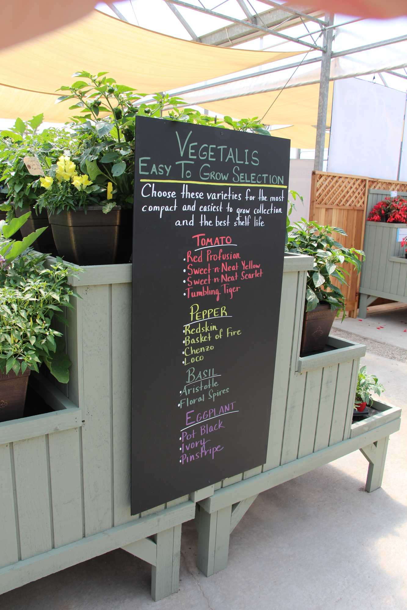 Vegetalis Is Working To Make Growing Vegetables Easy For Consumers ...