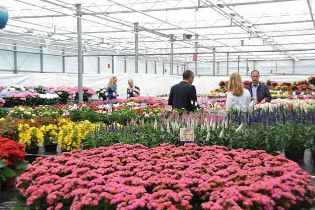 Flower Trials Will Have A Record Number Of Participants For 10th ...