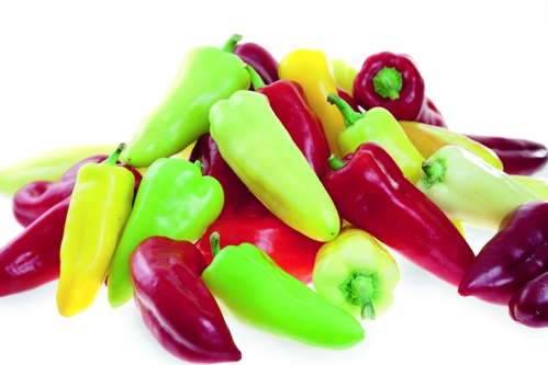 First Vegetatively Propagated All-America Selections (AAS) Winners ...