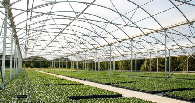 Stuppy Greenhouse Manufacturing Says Every Customer’s Greenhouse Should ...