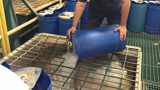 How Bob's Market And Greenhouses Improved Growing And Sales With ...