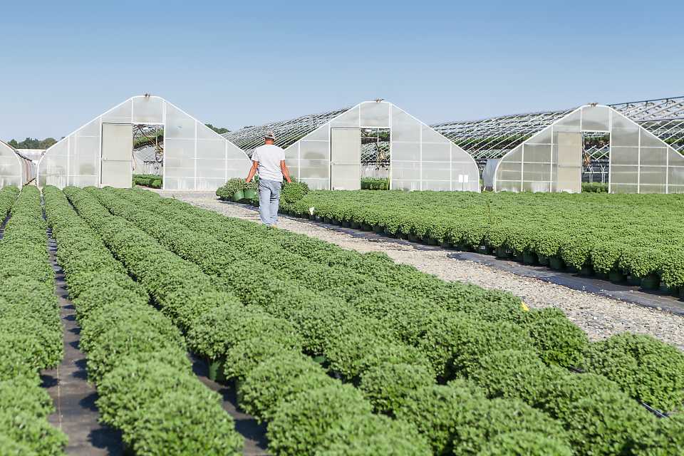 Announcing TTA-ISO: The Merger of ISO Horti and TTA