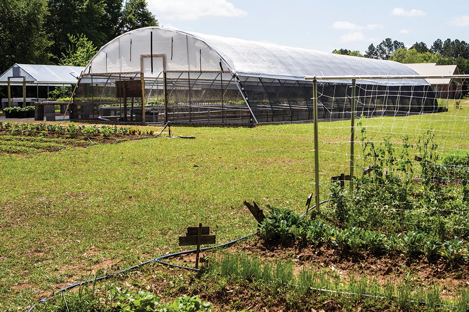 Vegetable Grower Makes The Move To Protected Agriculture - Greenhouse ...
