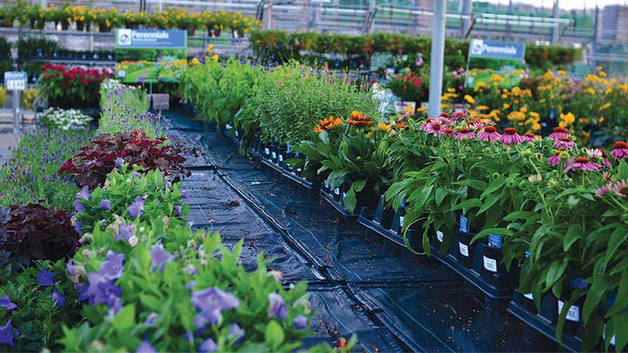 Scale Back On Water And Reduce Labor With Capillary Mats - Greenhouse ...