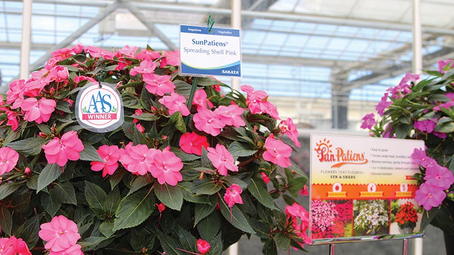 SunPatiens Earns The 2016 Medal Of Excellence In Marketing Award ...