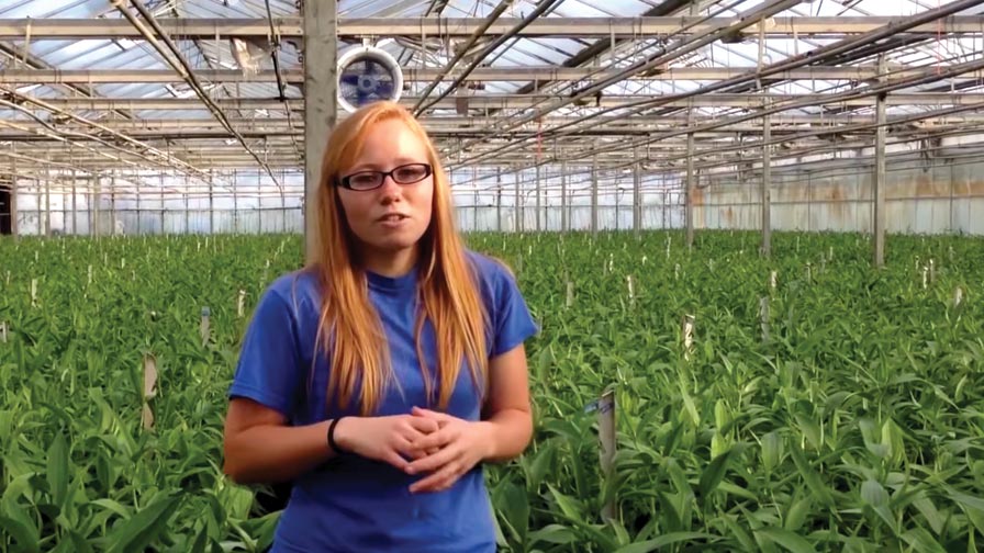 New Career Center Connects Floral Industry With Talented Employees ...