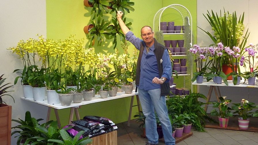 A Visual Guide To Garden Retail Merchandising - Greenhouse Grower