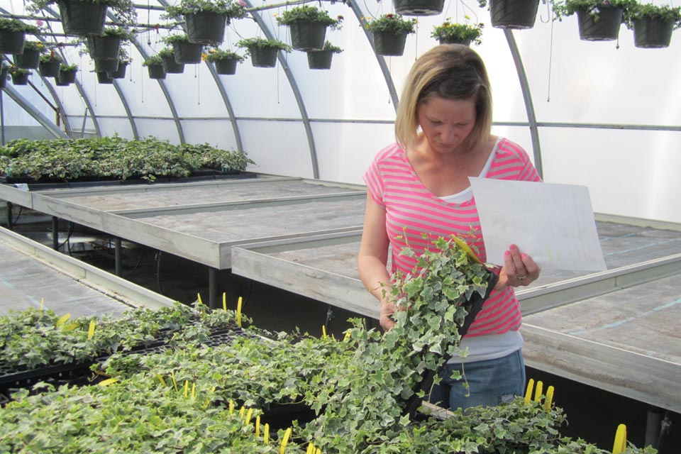 New Salary Data Highlights the Promise of Horticulture Careers ...