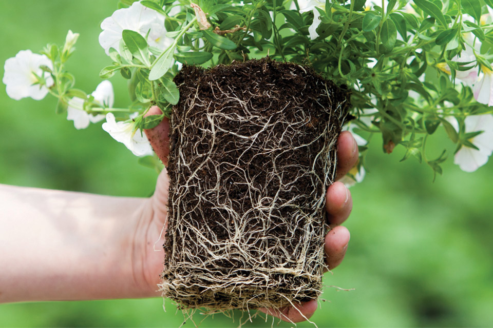 Profile Products Acquires Controlled-Release Fertilizer Supplier ...