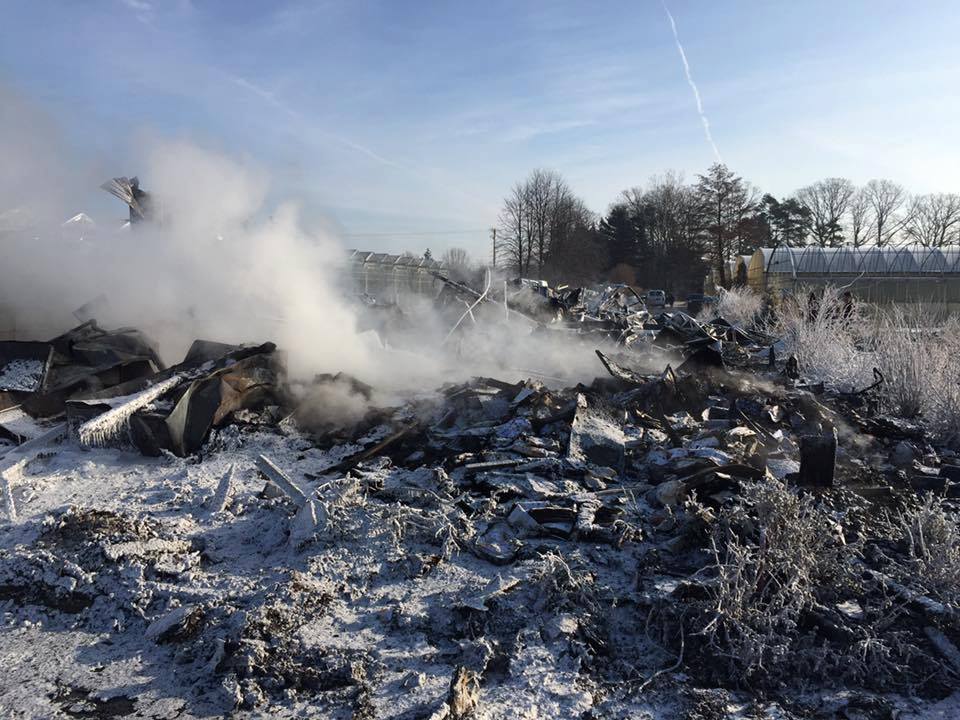 Two Major Growers Recovering and Rebuilding After Fires - Greenhouse Grower