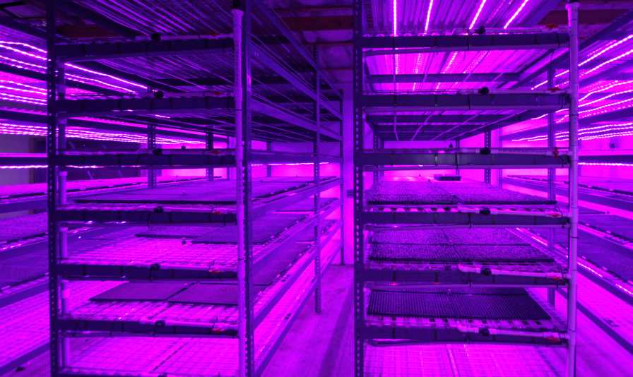 Emerald Coast Growers Adds New Seed House to Increase Production ...