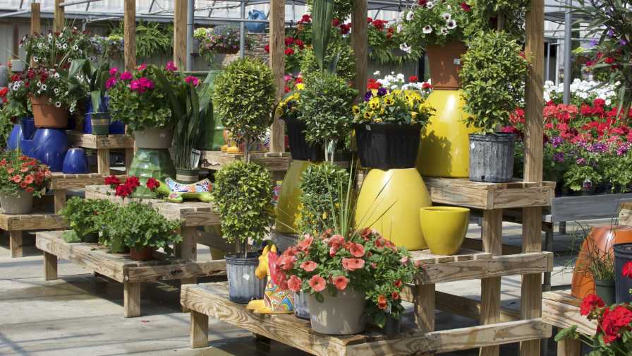 American Garden Centres