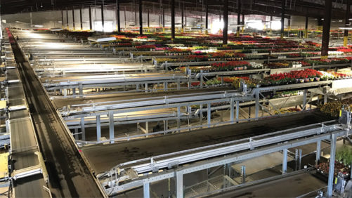 Equipment Archives - Page 2 of 18 - Greenhouse Grower
