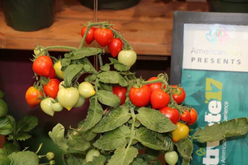 16 Products That Garden Retailers Loved at Cultivate’17 - Greenhouse Grower