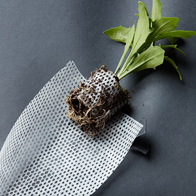 Oasis Introduces New Biodegradable Paper Wrap for Plant Propagation ...