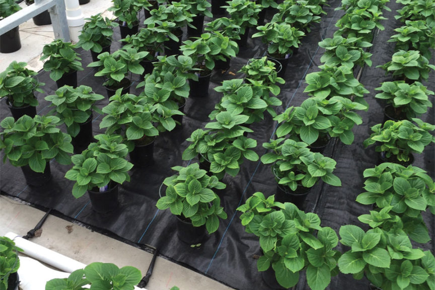 15 Tools That Can Help You Maximize Water Quality and Efficiency in the ...