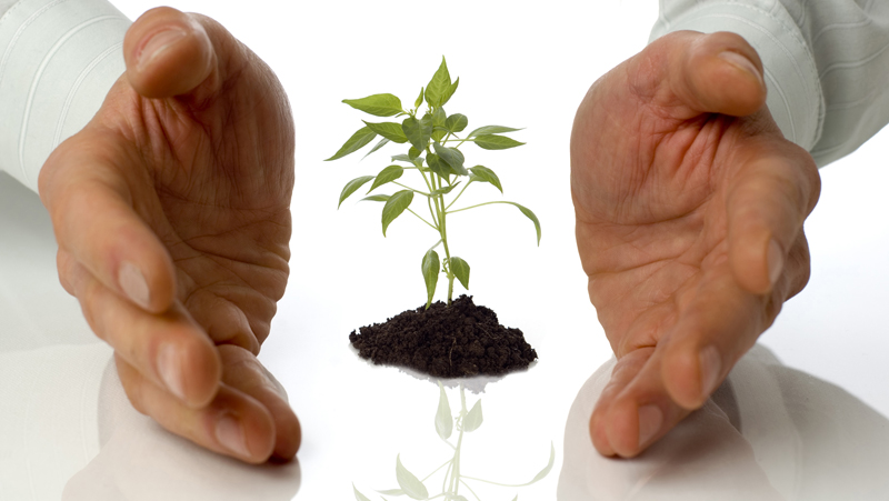 Engage Agro Now Doing Business as Belchim Crop Protection - Greenhouse ...