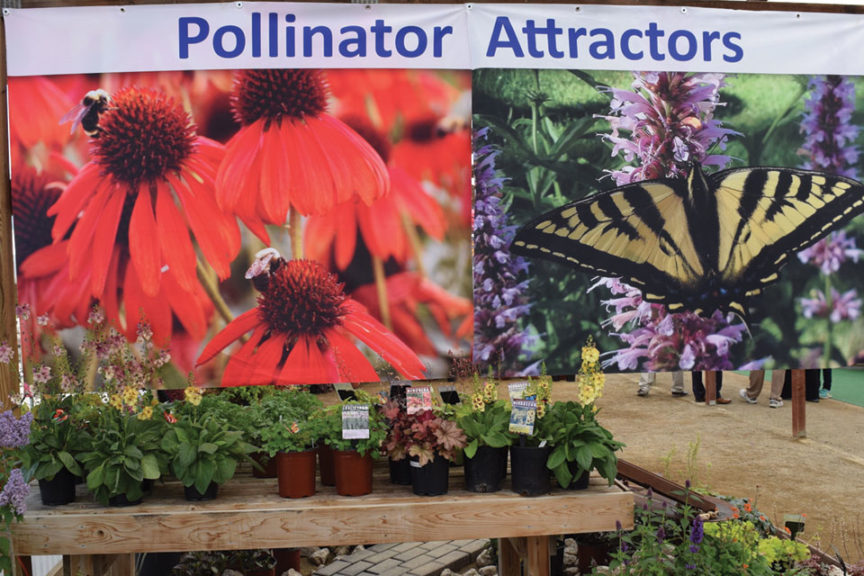 New Guide Helps You Choose Best Plants for Attracting Pollinators ...
