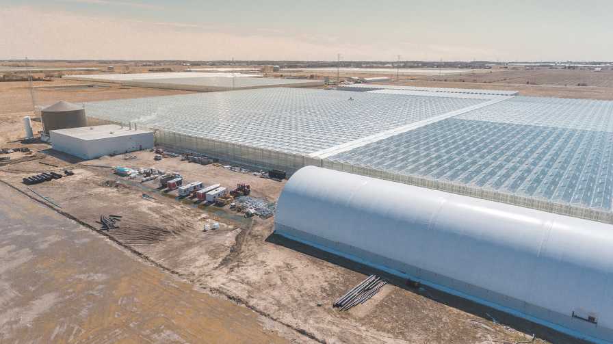 NatureFresh Further Expands Greenhouse Tomato Production in Canada ...