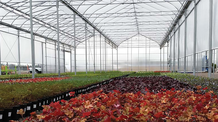 How to Get the Most Out of Your Greenhouse Poly - Greenhouse Grower