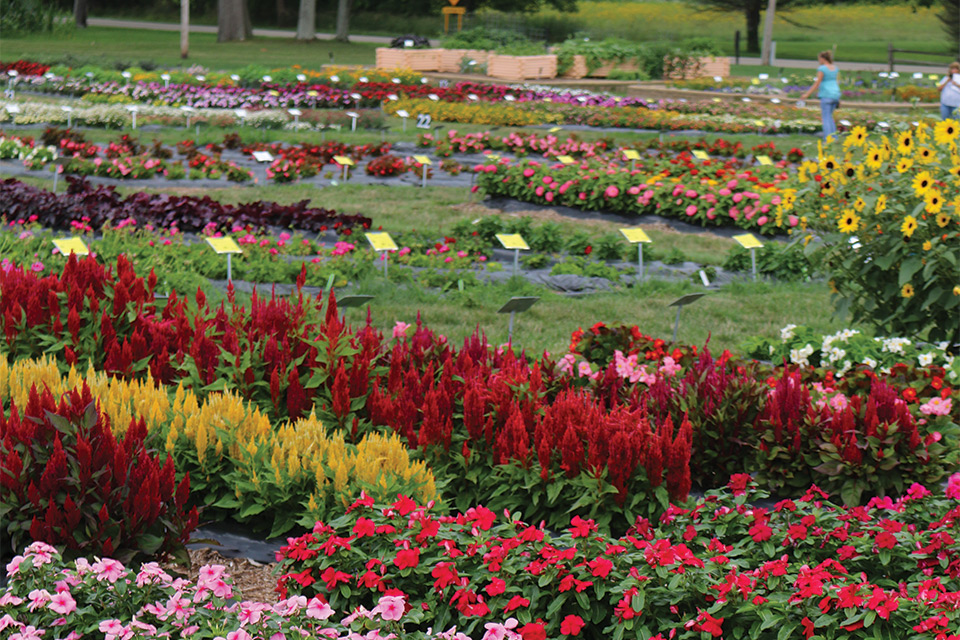 The Latest Updates on Summer 2020 Horticulture Field Days - Greenhouse ...