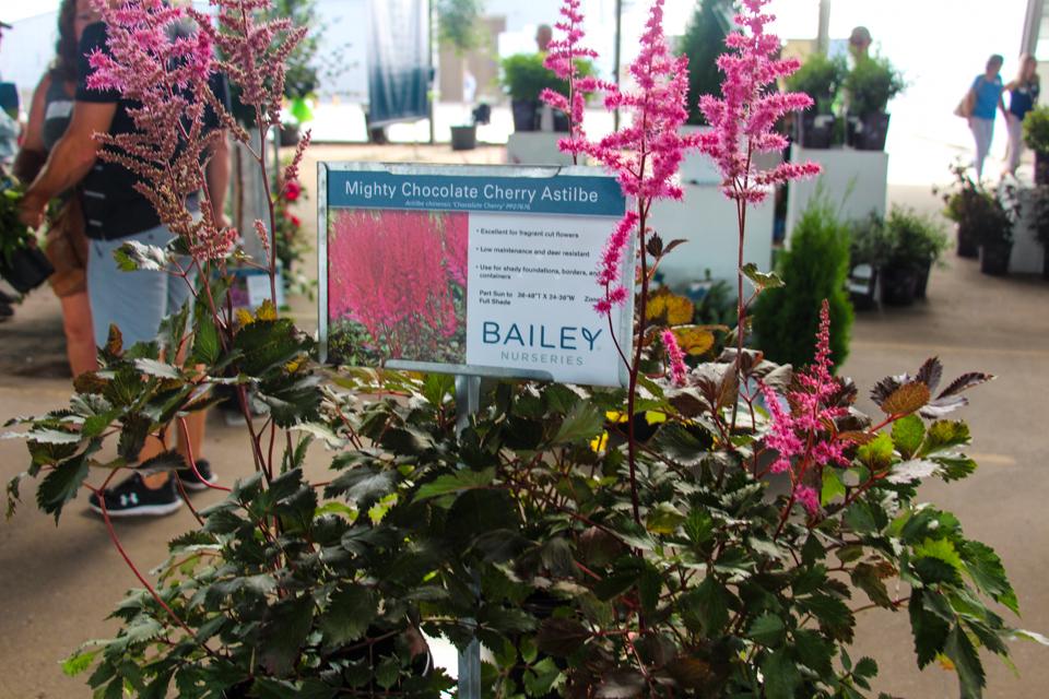 Leadership Team on the Grow at Bailey Nurseries - Greenhouse Grower