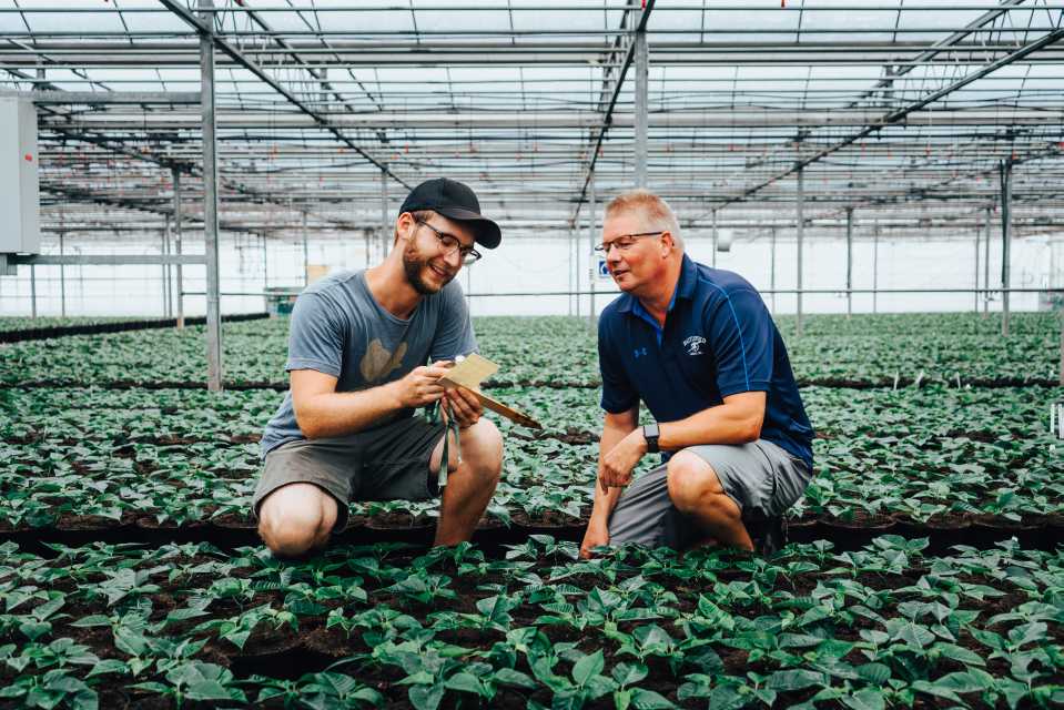 Why the Best Head Growers Offer Lessons for Others to Follow ...
