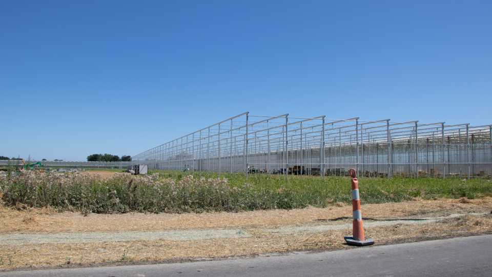 How Mucci Farms Went International to Grow Local Vegetables ...
