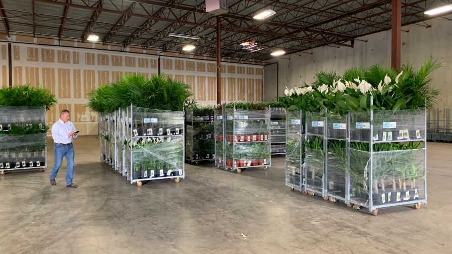 How Suppliers Are Helping Growers Improve Shipping Efficiency ...