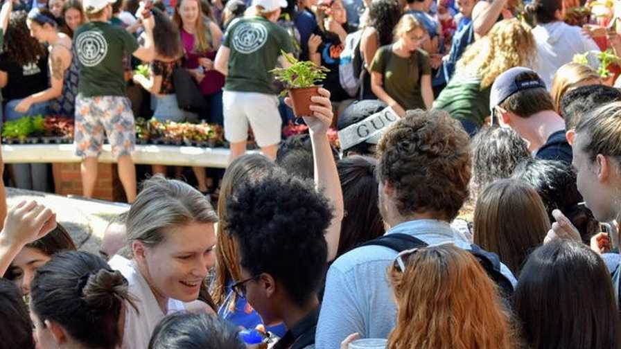 Popular College Plant Drop Program Expands Online - Greenhouse Grower
