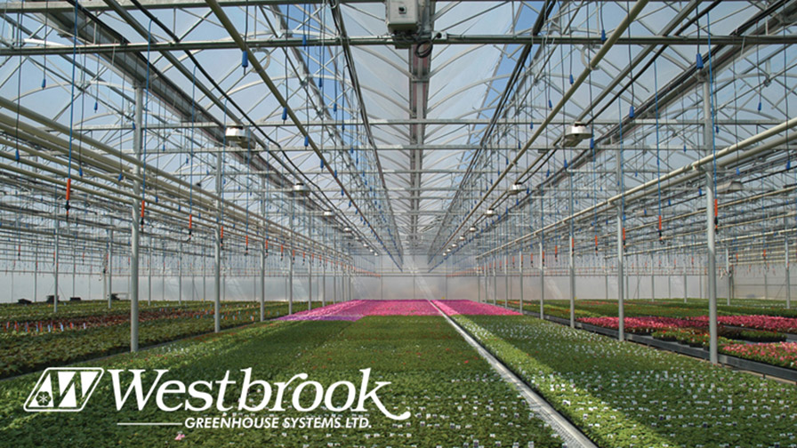 Skyline - Greenhouse Grower