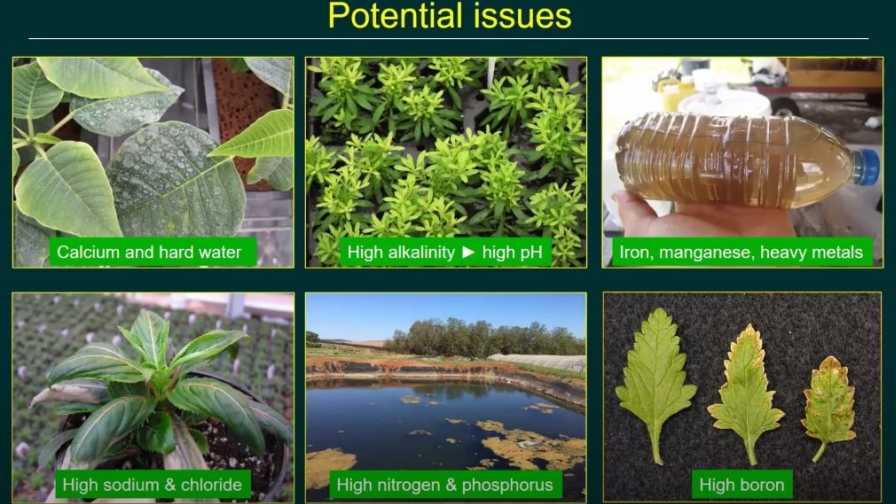 Watch and Learn to Solve Chemical Issues in Greenhouse Irrigation Water ...