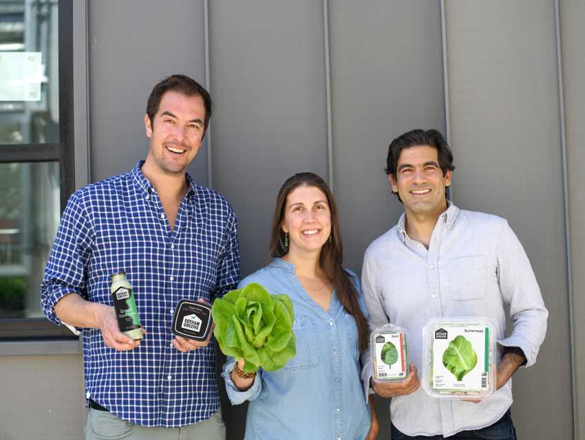 Operation of the Year Gotham Greens Farms With the Future in Mind ...