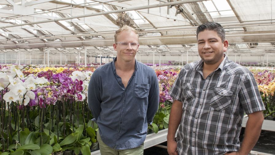 Get to Know Greenhouse Grower's 2021 Operation of the Year Award ...