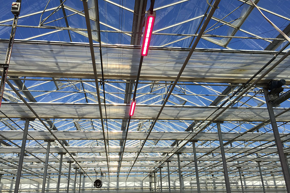 How Shading Can Help You Manage Spring Greenhouse Heat Intensity ...