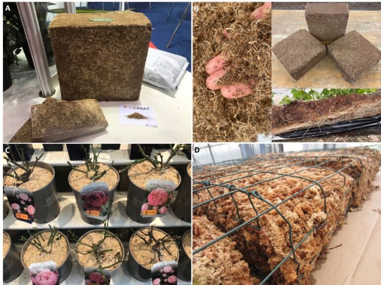Current and Future State of the Growing Media Industry - Greenhouse Grower
