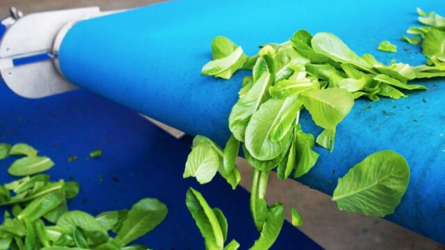 A Tech Revolution at Revolution Farms - Greenhouse Grower