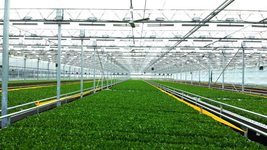 A Tech Revolution at Revolution Farms - Greenhouse Grower