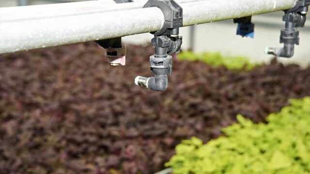 Get to Know Your Greenhouse Water - Greenhouse Grower
