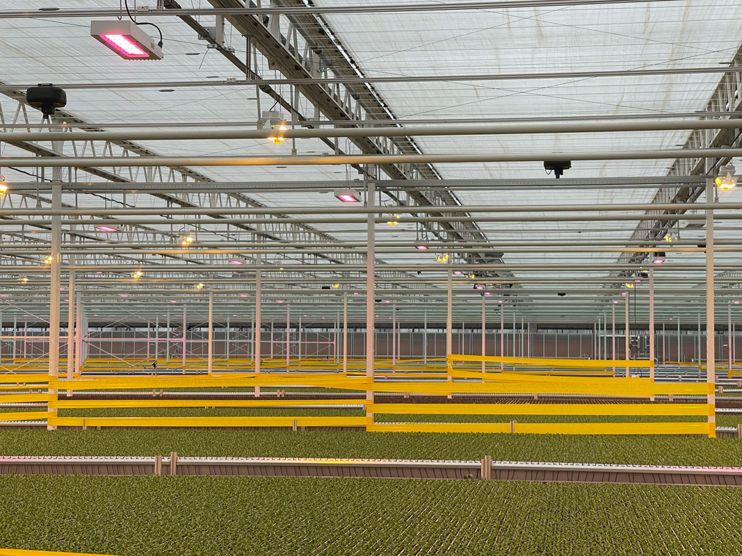 Digitals Twins and the Path Toward Greenhouse Autonomy - Greenhouse Grower