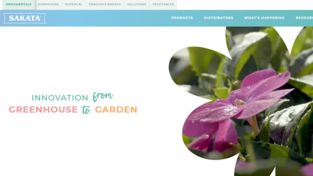 Sakata’s Revamped Website Offers Easy Navigation of Grower Variety ...