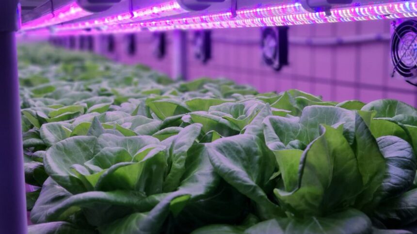 Controlled-Environment Agriculture: Where Horticulture and Technology ...