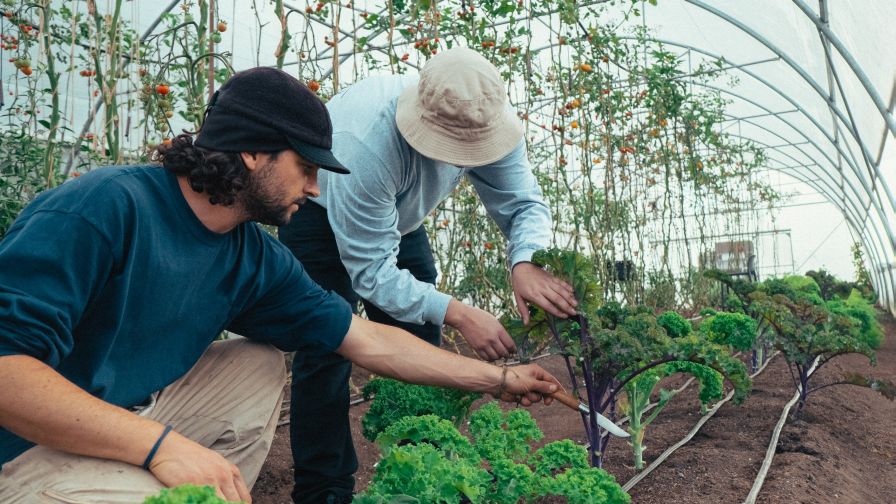 5 Laws That Could Change the Way You Work in 2024 - Greenhouse Grower